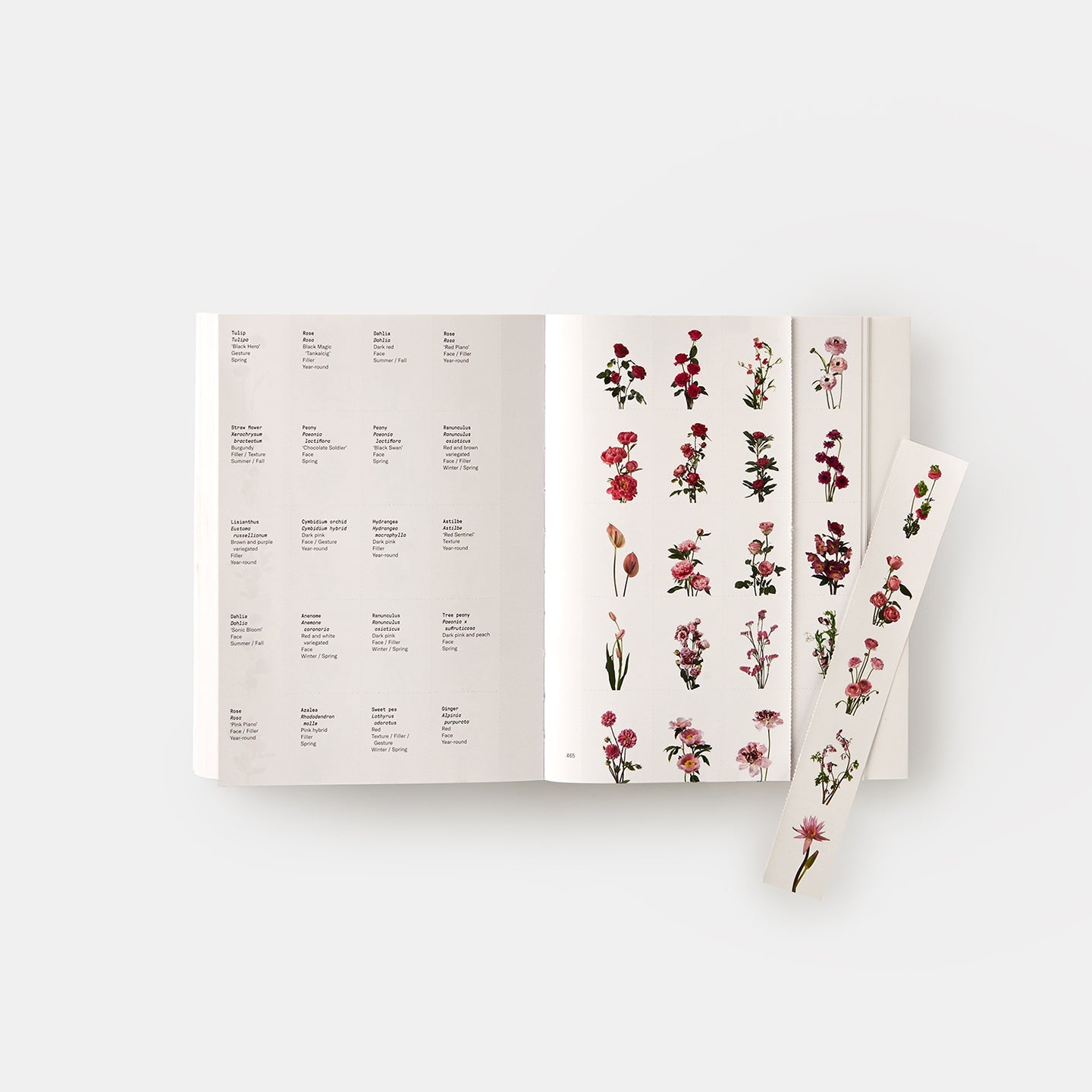 Flower Color Guide – alblanc